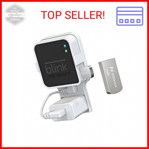 256GB USB Flash Drive and Outlet Mount for Blink Sync Module 2, Save ...