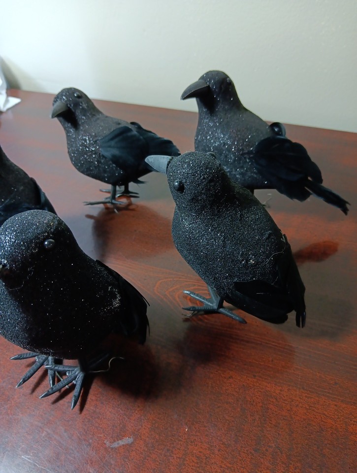 5 Pc Halloween Black Crow Prop Fake Bird Raven Feathered Spooky Party ...