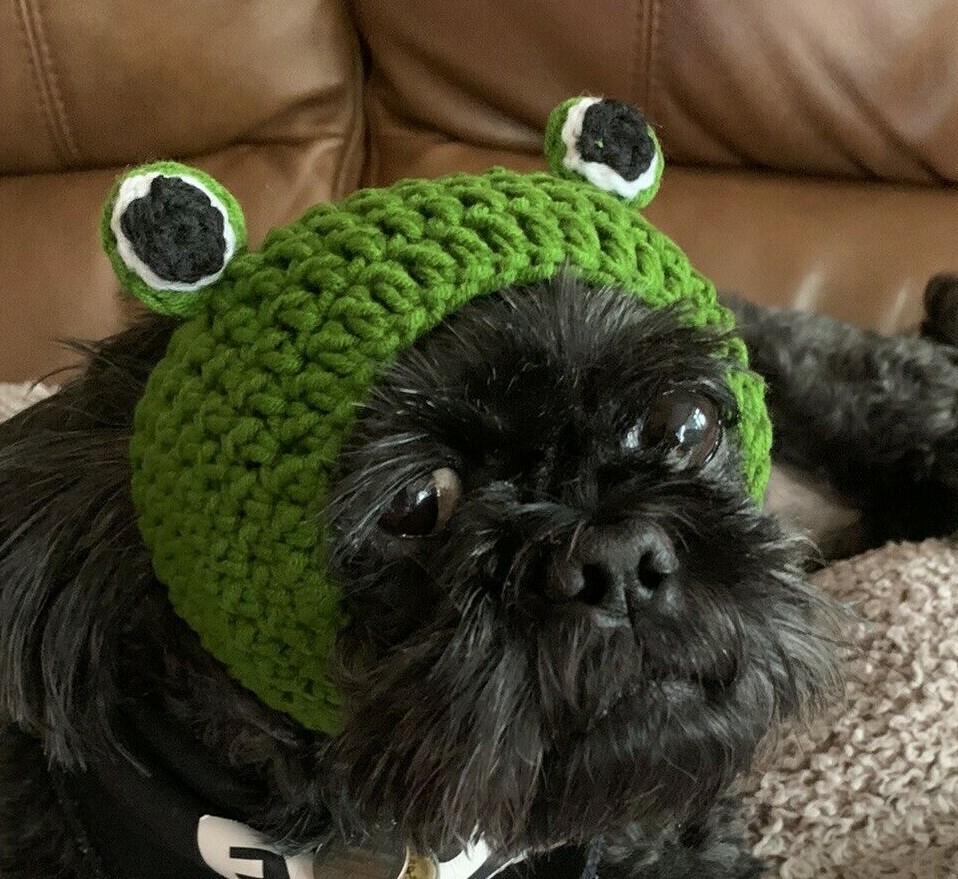 Knit Pug Hats