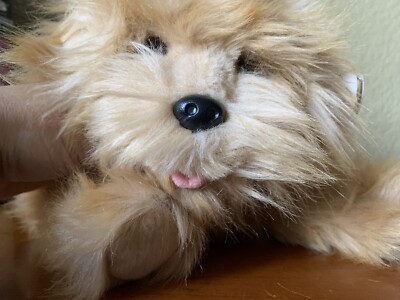 TY CLASSIC PLUSH - COLONEL the DOG with tag. Fluffy soft puppy 2006 ...