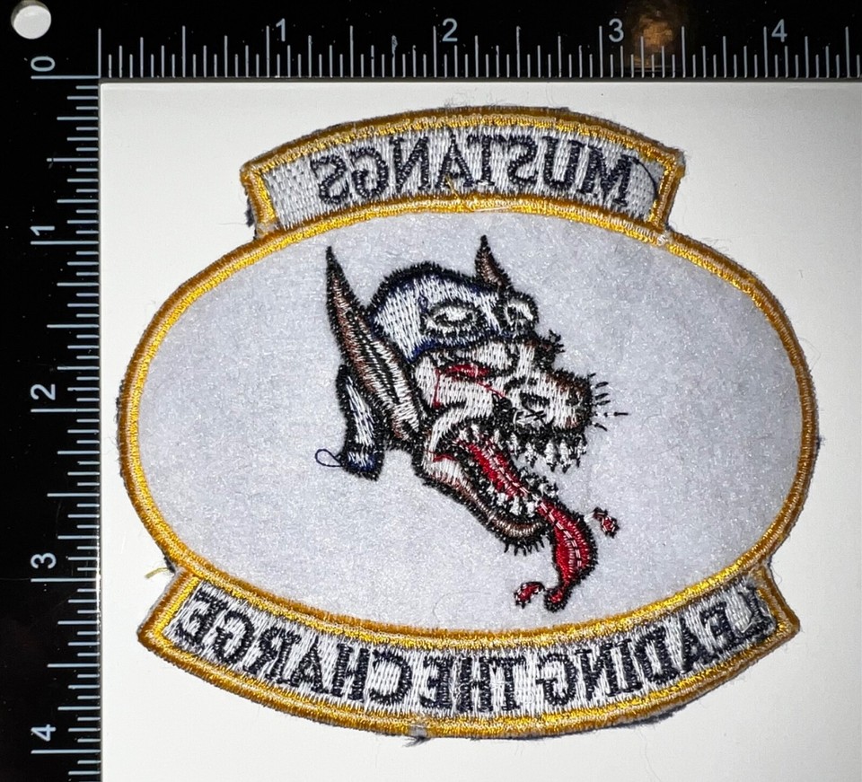 USAF 36th Fighter Squadron Flying Fiends Mustangs Leading The Charge ...