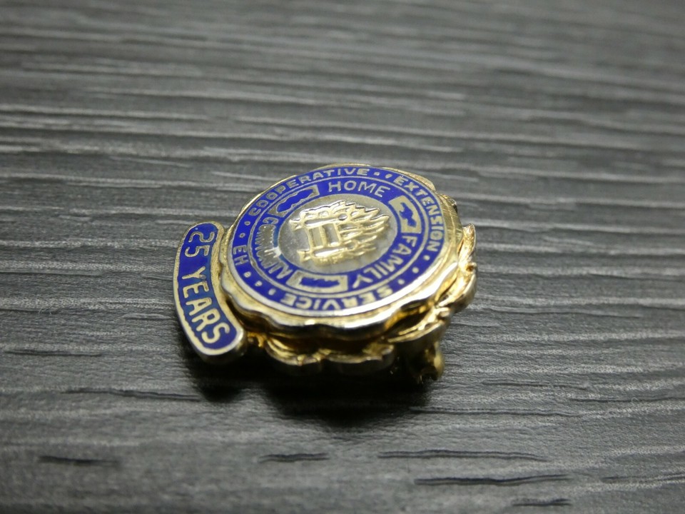 Vintage Sterling Silver Gold Tone EH Home Community Family 25 Year Pin ...
