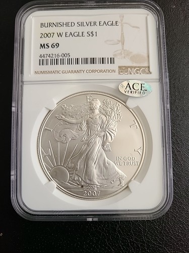 2007 W Burnished Silver Eagle MS 69 NGC West Point Mint Coin Ace Verified | eBay