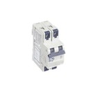 1PC ALTECH CORP 2D4UM Circuit Breaker, Thermal Magnetic, 4A, 2 Pole, D ...