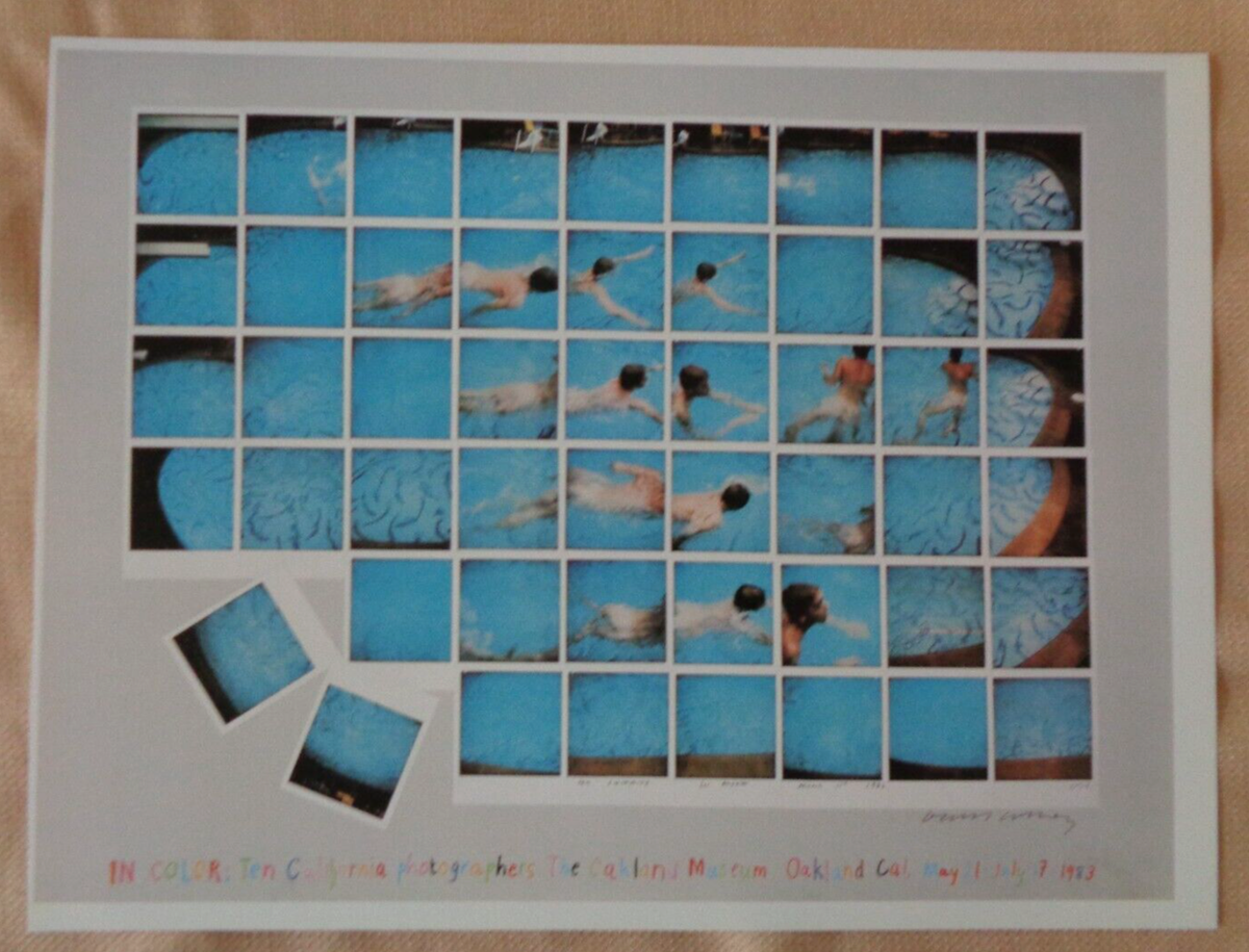 David Hockney Paper Pools Print