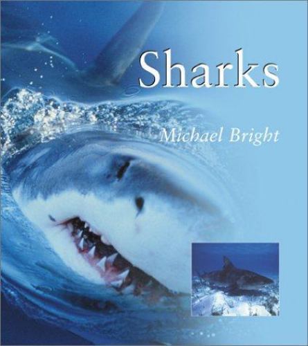 Sharks by Michael Bright (2002, Trade Paperback) for sale online | eBay