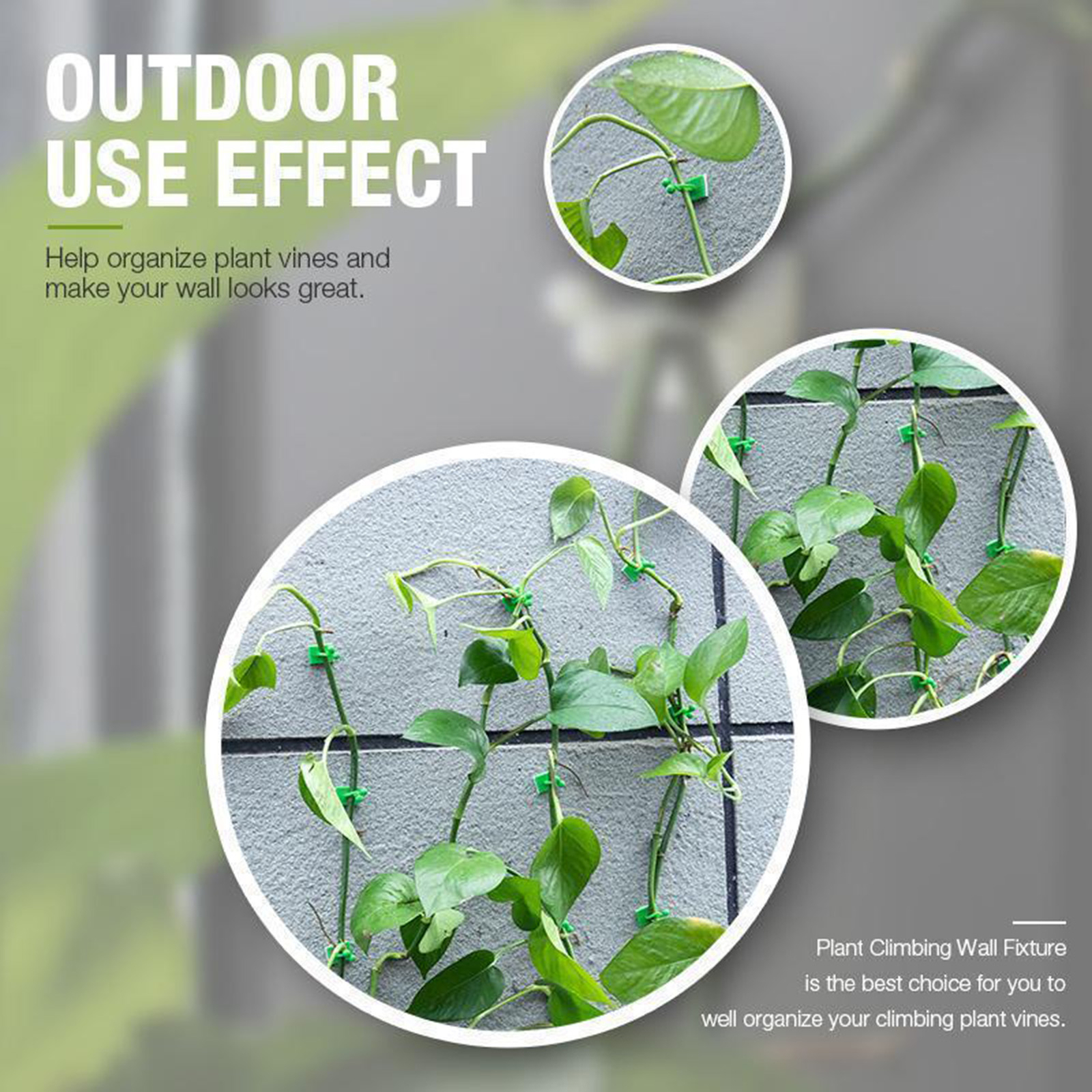 10pcs/set Plant Climbing Holder Reusable Invisible Vine Climb Wall Clip ...