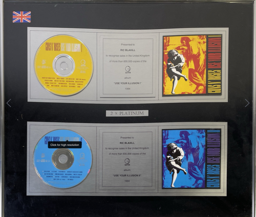 Rare Geffen Records 2x Platinum Sales Award Guns N’ Roses use your ...