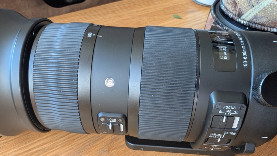 NIKON F FIT SIGMA 150-600MM F5 /6.3 DG SPORTS With Teleconverter | eBay UK