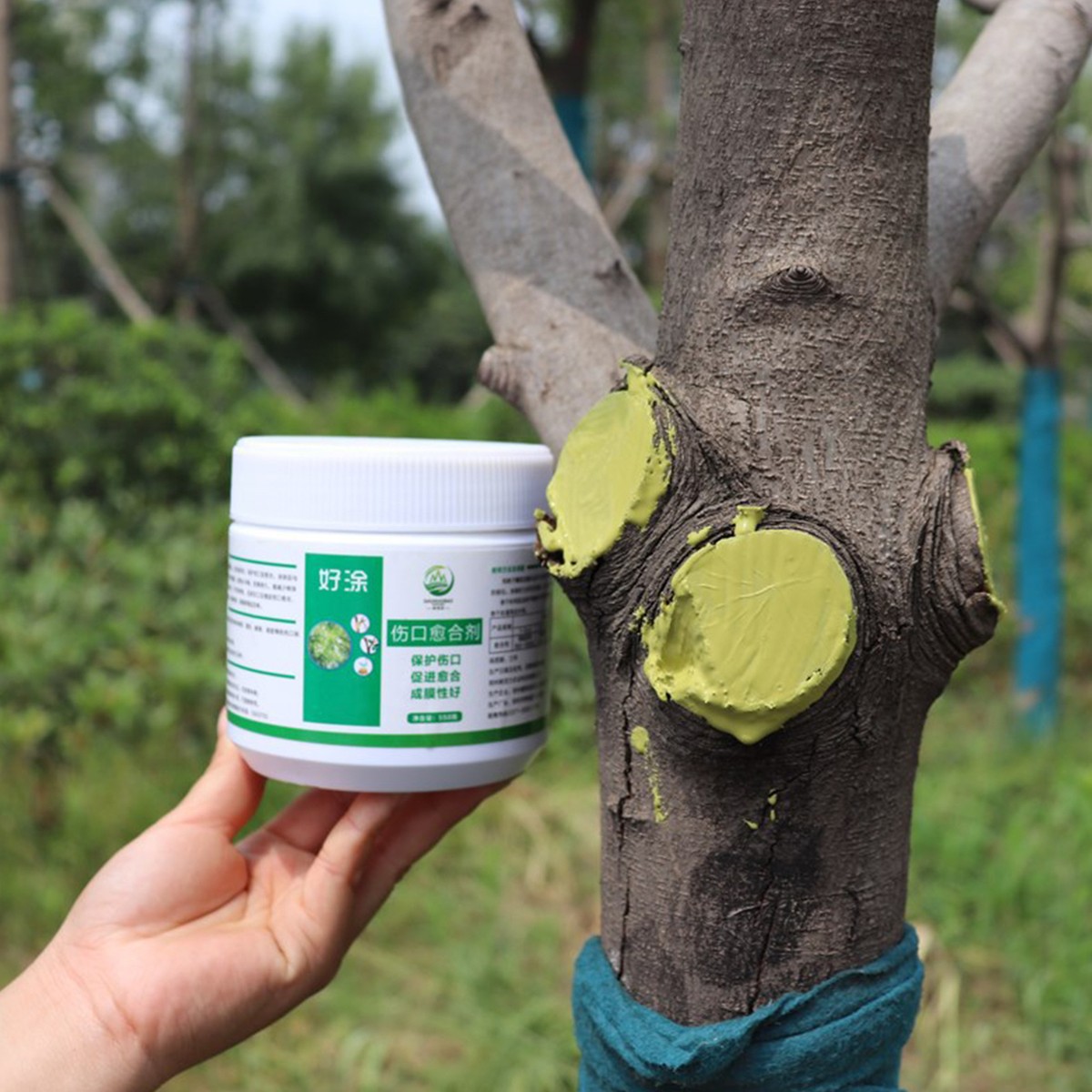 Tree Sealant Tree Bark Repair Wound Spray Tree Wound Sealer-16 OZ Tree ...