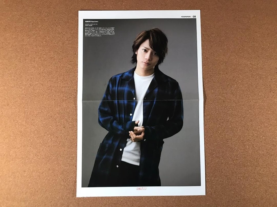 Ryuji Sato Artwork Poster Page Large Format A3 Size Used | eBay UK