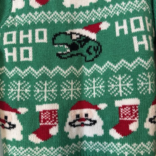 Sezzit Green Santa Stocking Dinosaur Graphic Print Christmas Holiday ...