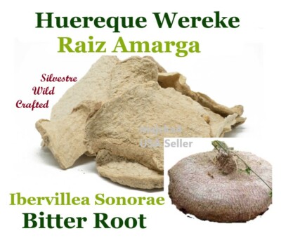 Huereque wereke 4 oz.Hierba amarga Ibervillea sonorae bitter herb | eBay