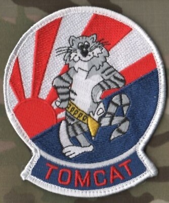 JASDF 航空自衛隊 TOMCAT FIGHTER F-14 USN VF-154 “Black Knights” Felix Japan ...
