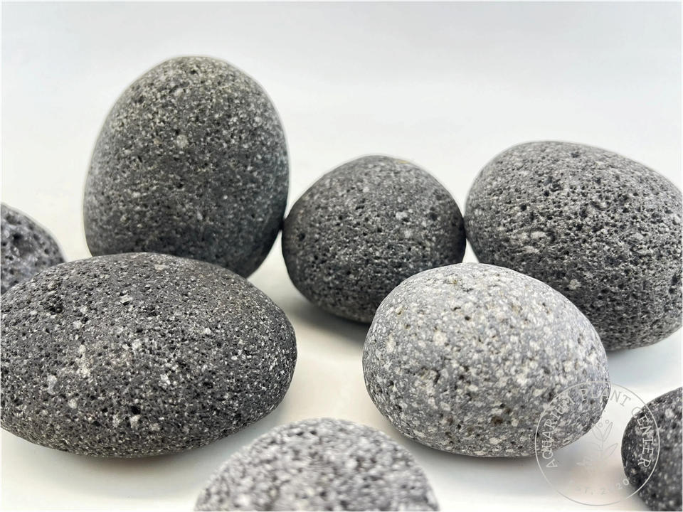 Tumbled Black Lava Rock Pebble/Planted Aquarium/Decoration/Hardscape ...