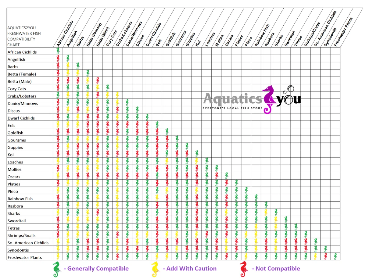 Freshwater Tropical Fish Compatibility Chart