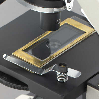 Wildco Sedgewick-Rafter Counting Cell | eBay