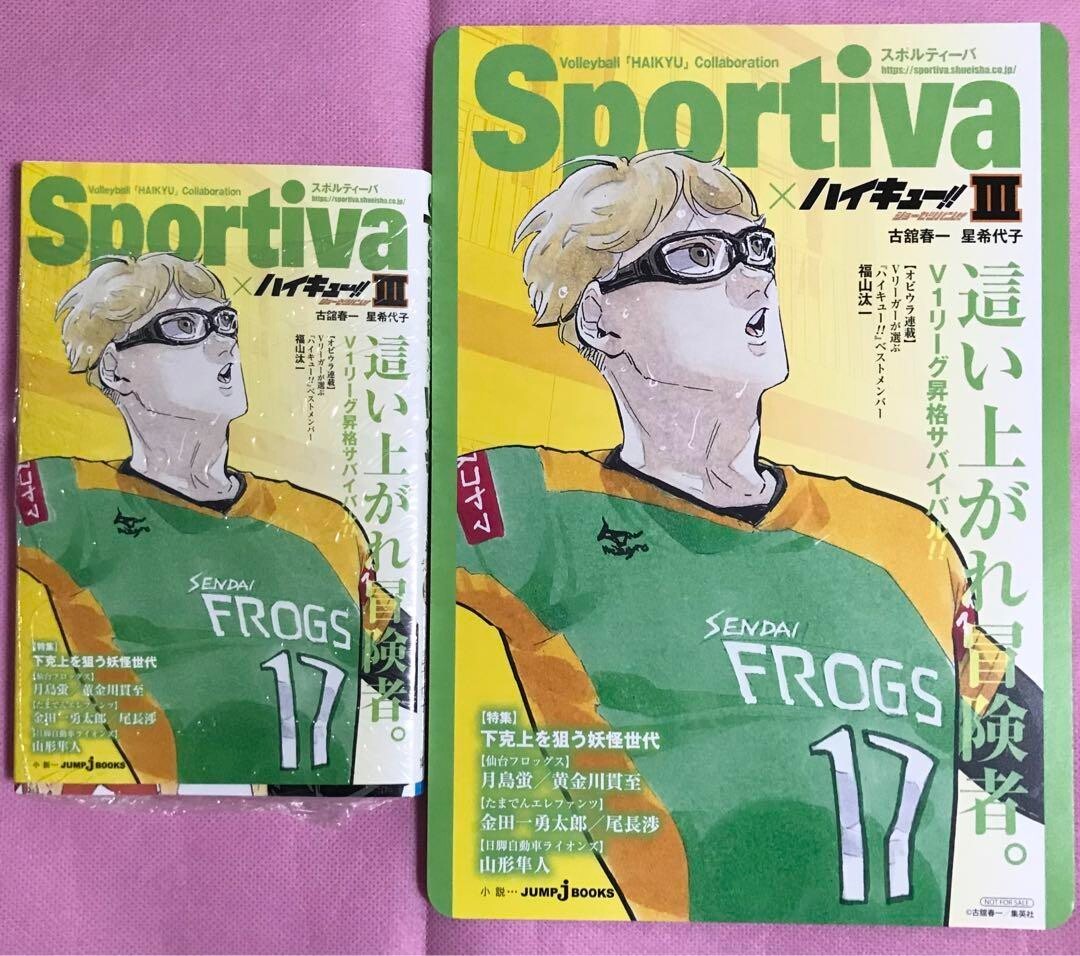Kei Tsukishima Haikyuu Set Novel vol.3 New Design Cover B5 Visual Board ...