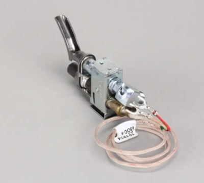 Frymaster 101934 Pilot Assembly Natural Gas | eBay