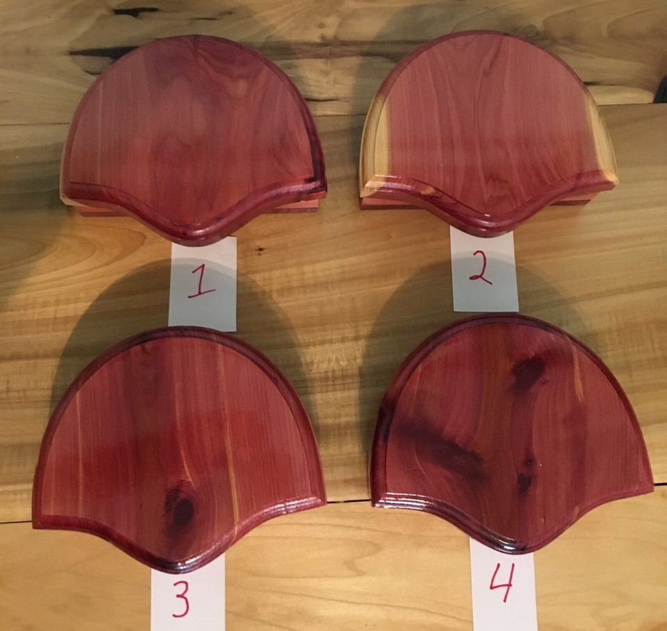 Cedar Turkey Trophy Fan / Beard Mounting Plaque Taxidermy Kit | eBay