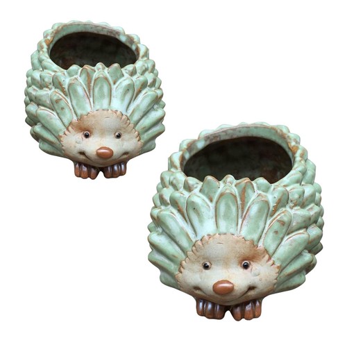 Hedgehog Flower Pot Ceramic Animal Planter Cute Succulent Plant Pot ...