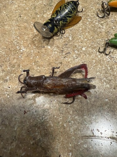 Rare Vintage Rebel Bumble Bug, Crick Hopper, Big Hopper Fishing Lures ...