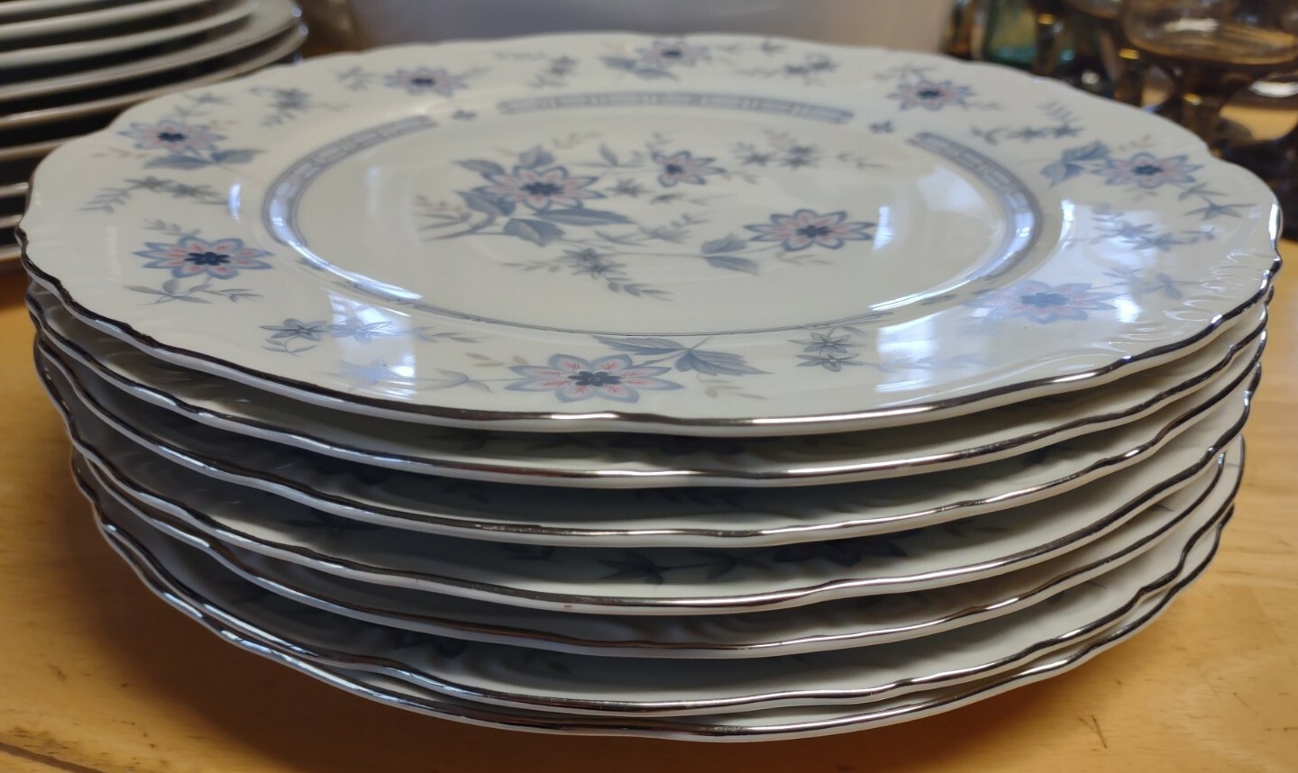 Set of 7 Nasco Fine China Japan Dinner Plates Near Flawless excellent ...