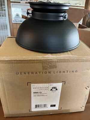 Seagull NSB 8869-12 Outdoor Lighting EA | eBay