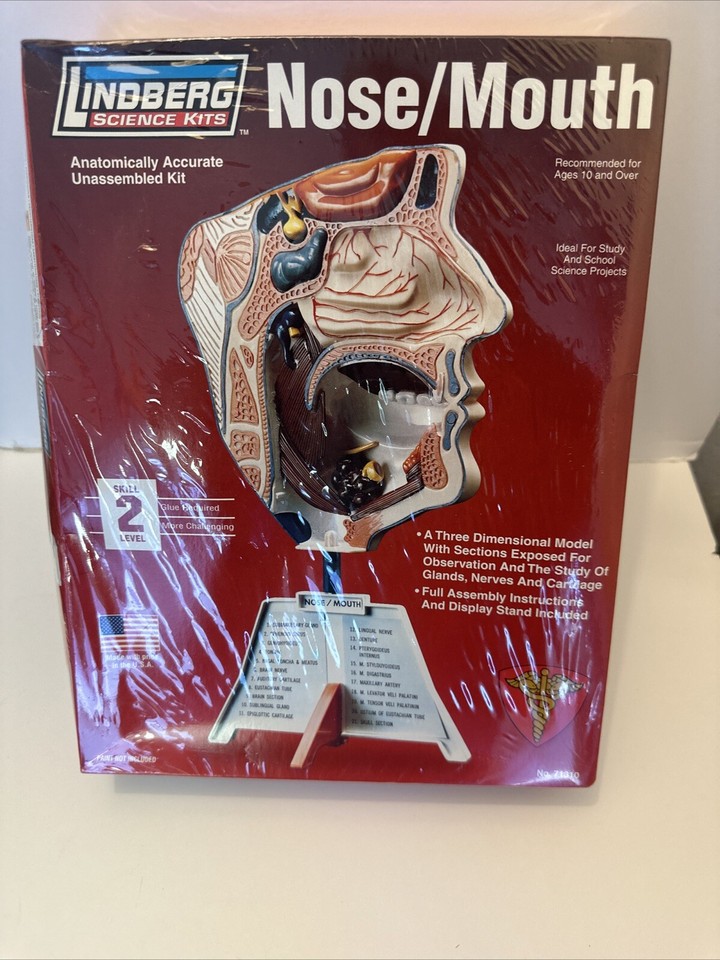 Lindberg Science Plastic Nose Mouth Human Anatomy Anatomical Brand New ...