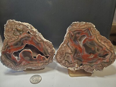 Museum Quality Thunderegg Polished Baker Ranch Large Banded 5'x4' Agate ...
