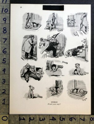1929 SINBAD DOG TERRIER PUPPY MUTT COMIC FRANCES EDWINA DUMM ART ...