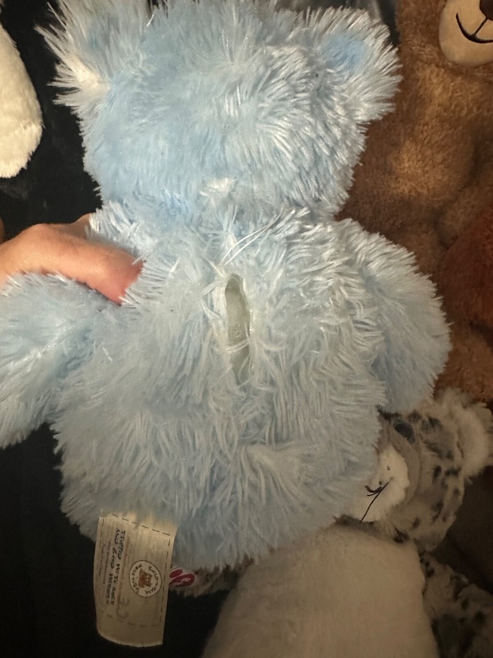 Build A Bear Lot 27 Plush Animals & Over 50 Pieces Of Clothing ...