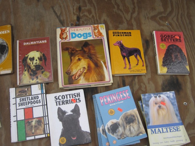 35 pc Used Assorted Dog Book Fiction Non Fiction LOTS Dogs Books | eBay
