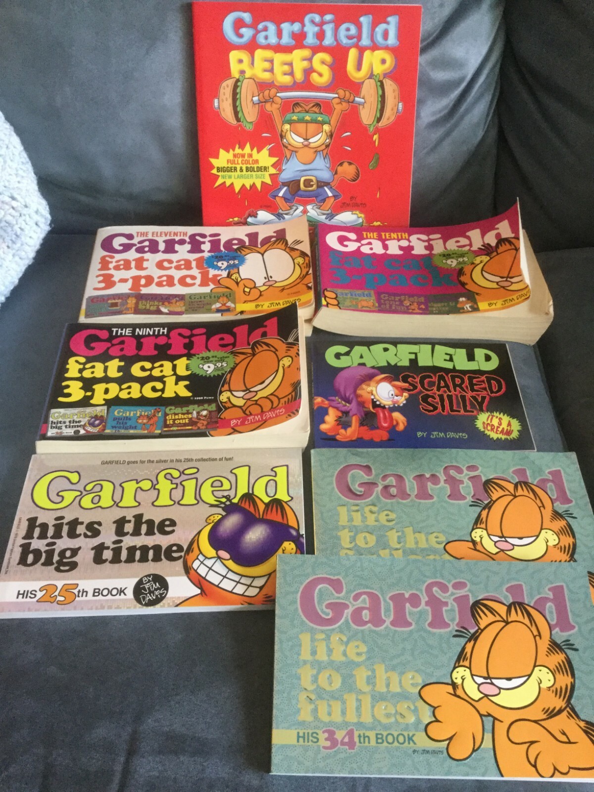 Classic Garfield Comic Strips
