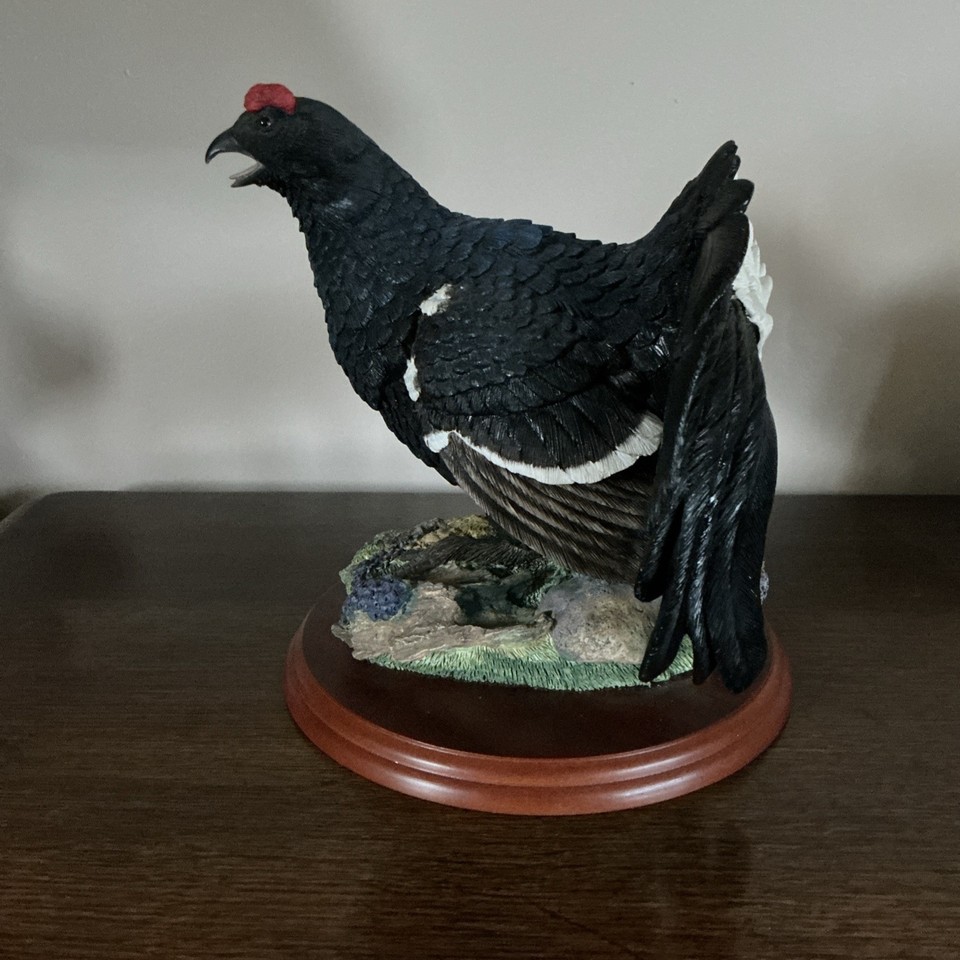 Border Fine Arts Game Birds Blackcock Capercaillie - Model Number A1278 ...