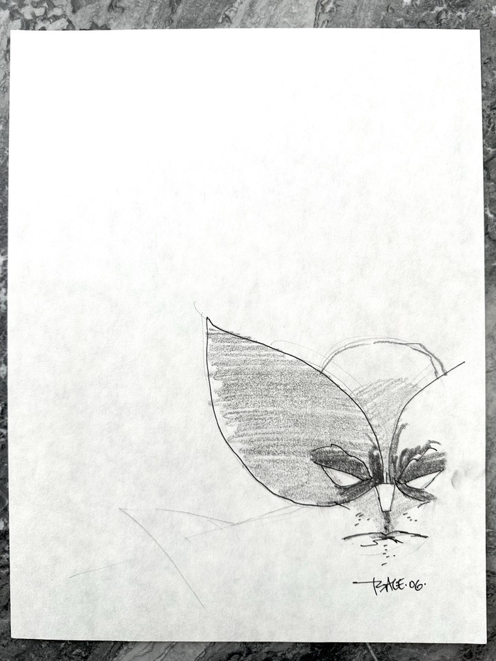 Tim Sale Original Wolverine Art – Pencil Sketch – Signed – 9 x 11 | eBay
