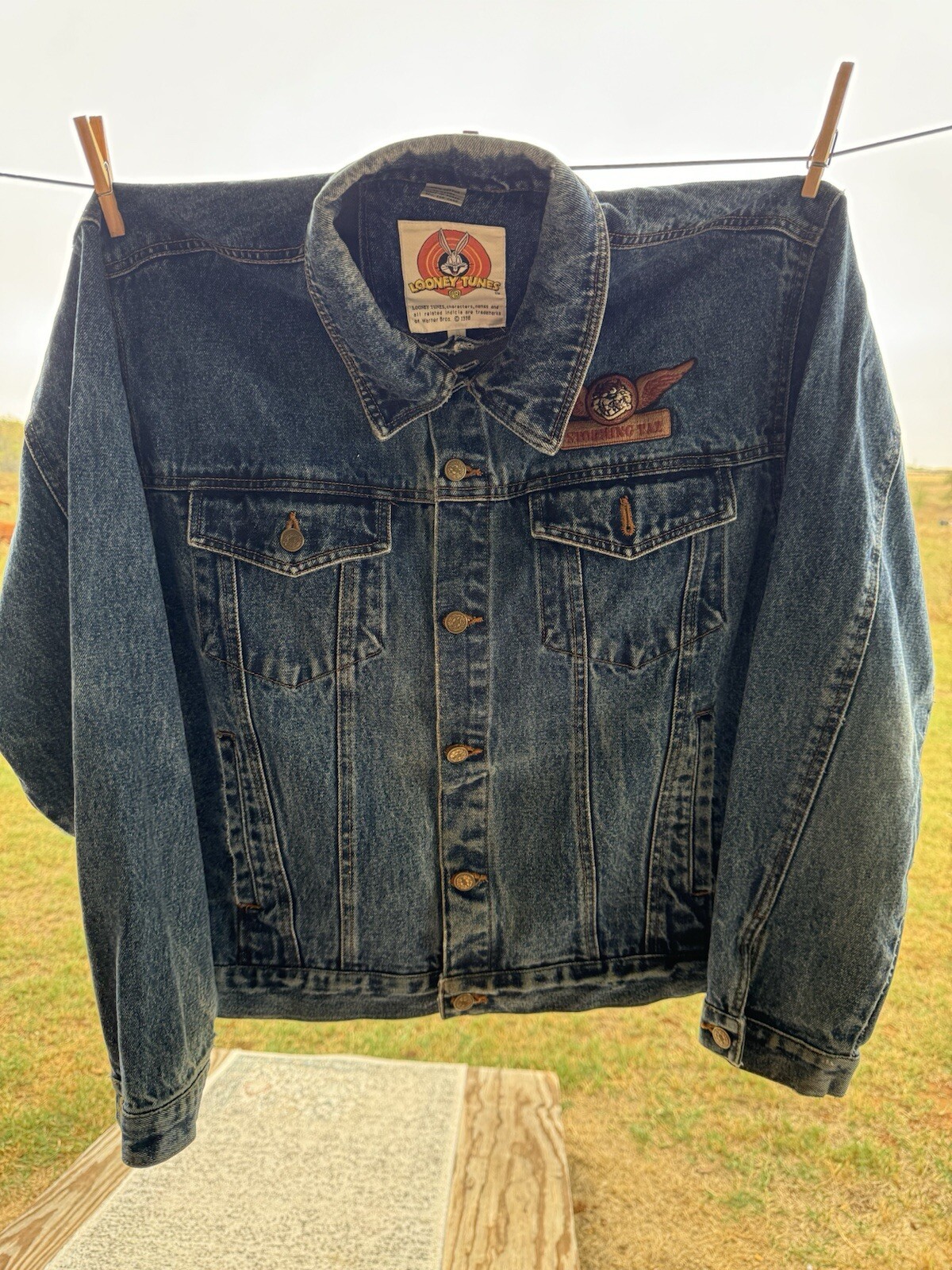 Vintage Looney Tunes Tasmanian Devil Storming Taz Pat… - Gem