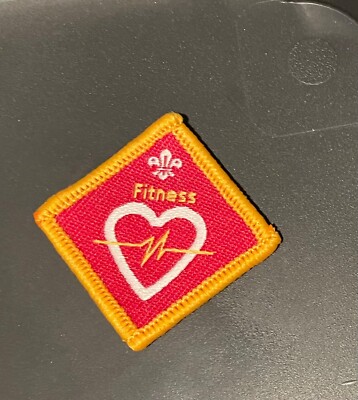 Cubs badge - old style - fitness challenge badge | eBay