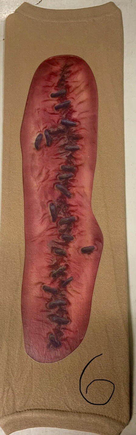 12 Pcs Gory Arm Sleeve. 6 Asstd Costume Accessory . Halloween Undead ...