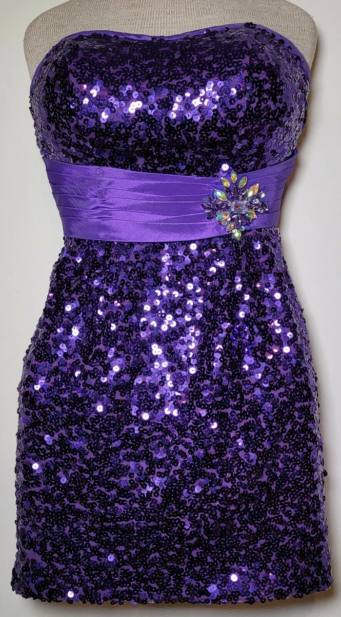 Sparkle Short Purple Dress