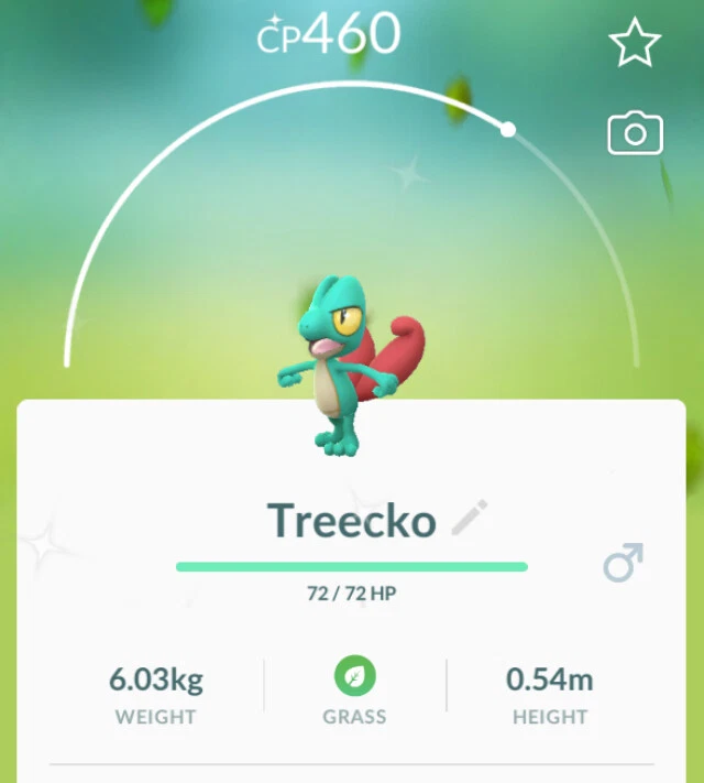 Shiny Treecko Pokemon