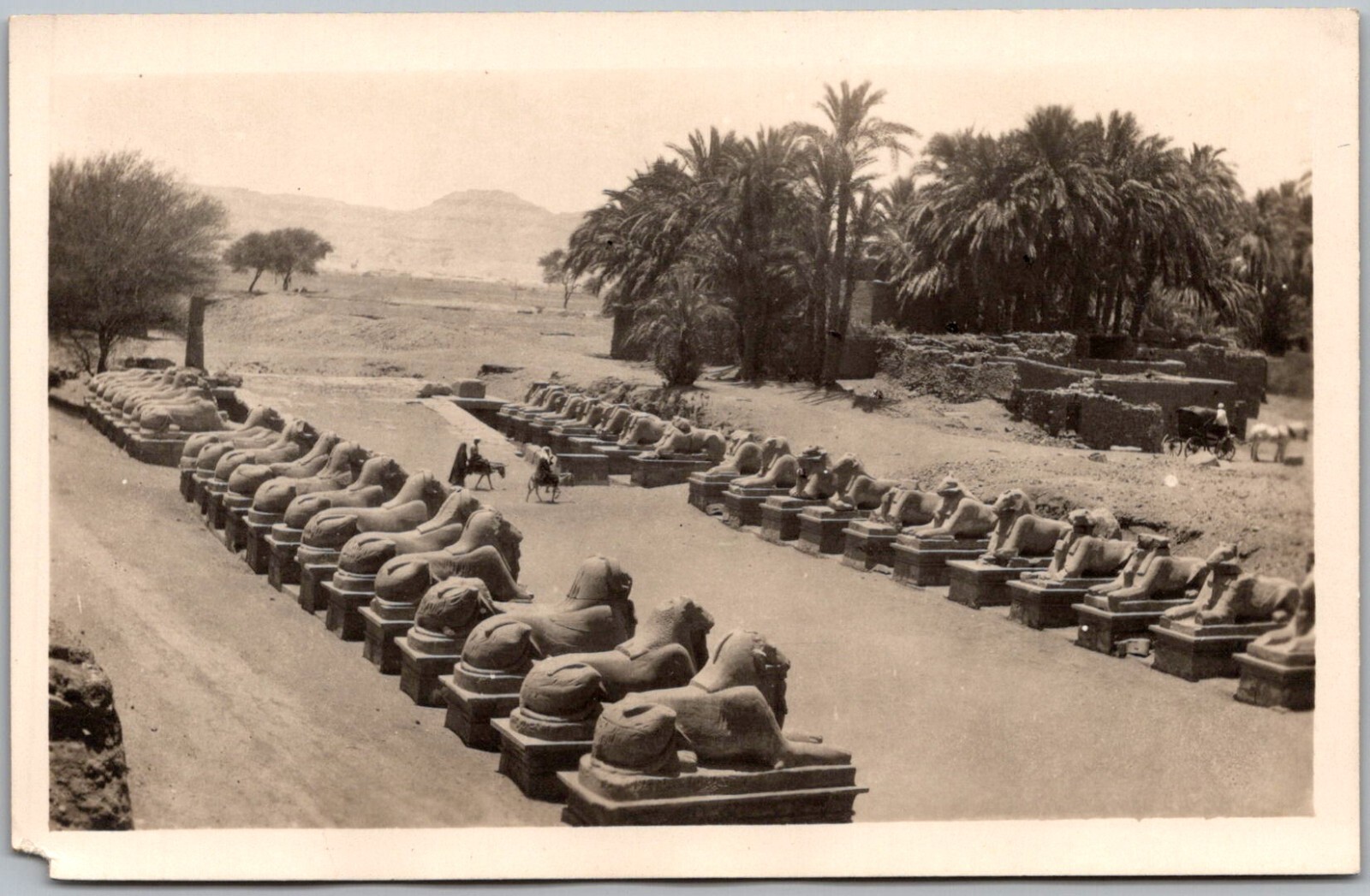 C5 Postcard RPPC Karnak Avenue of Sphinxes | eBay