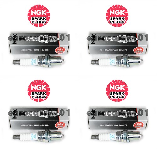 NGK Spark Plugs 7969 101000035HJ Set of 4 | eBay