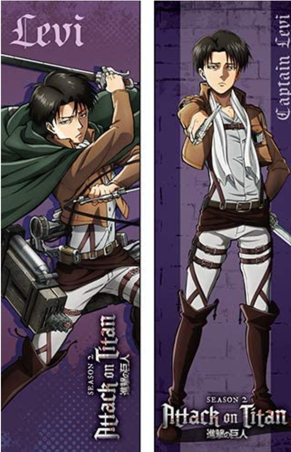 Levi Rivaille Full Body