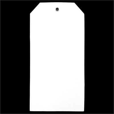 50-Pack Large White Plastic Tags 6.25x3.125 inch Waterproof Tear ...