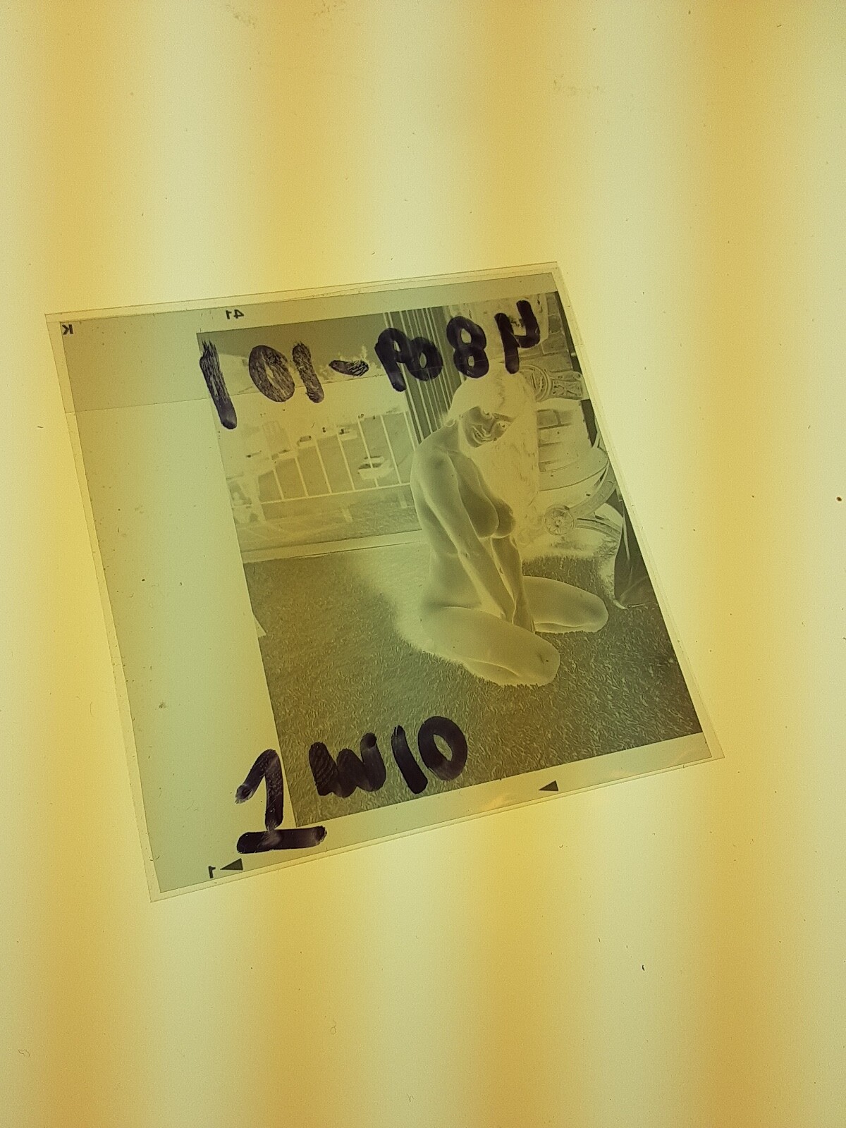 1 RARE Joyce Gibson Mandel Original B&W 120 Film Negative transparency ...