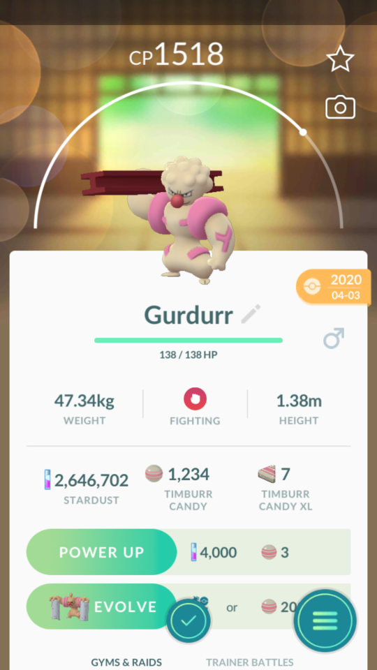 Pokemon Timburr Evolution