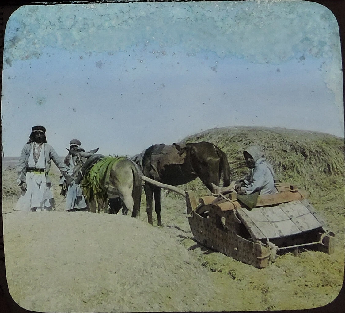 Blue Mule Pulling