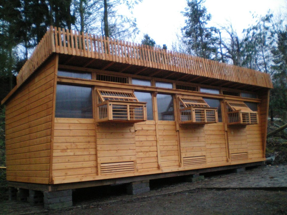 22ft x 8ft Pigeon Loft 3 Sections with Sputnik Traps And Corridor | eBay UK