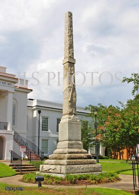 South Carolina - Colleton Confederate Monument B (5x7 Photo) | eBay